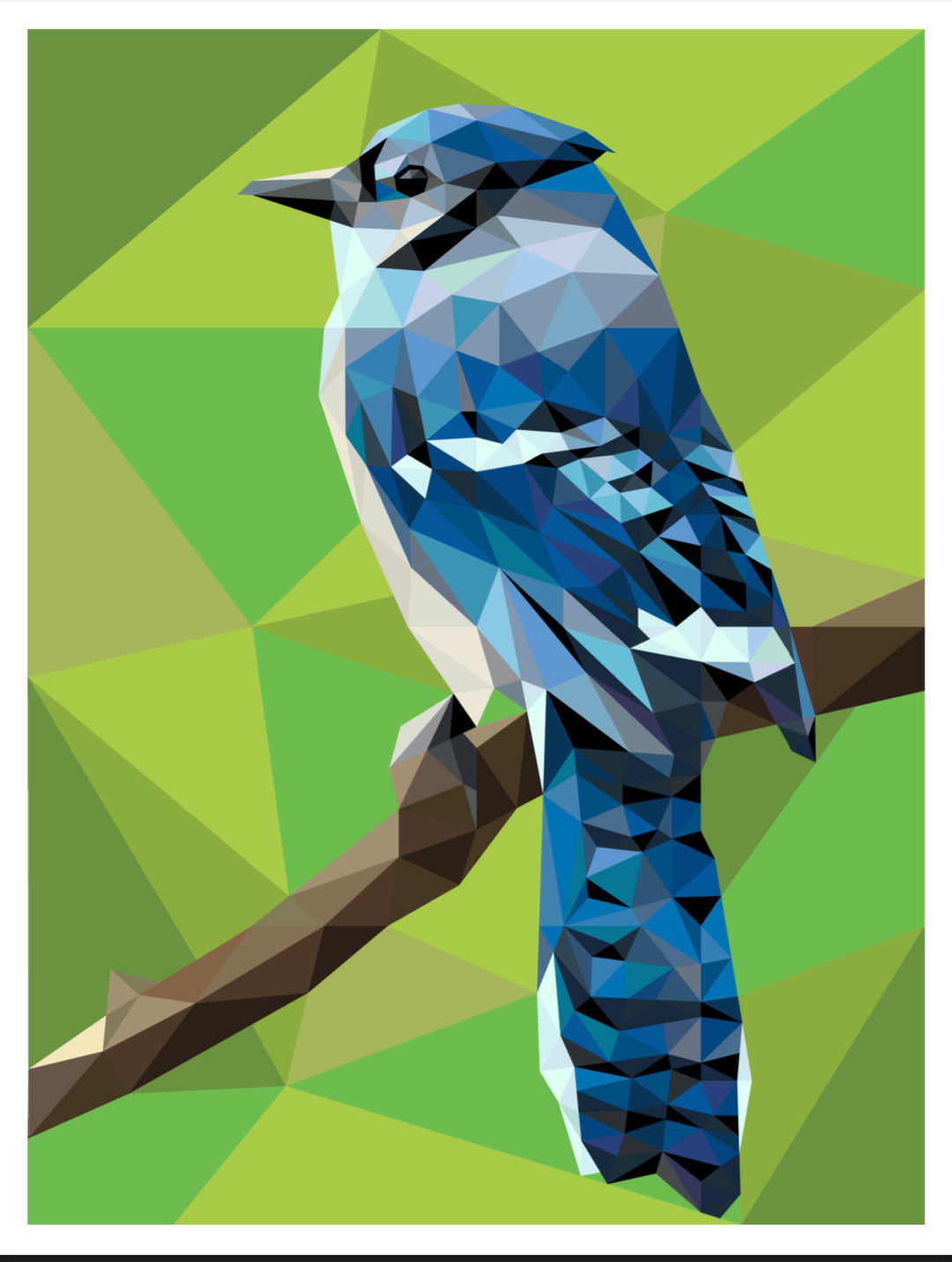 BJ the Blue Jay Pattern – The Sewing House, Inc