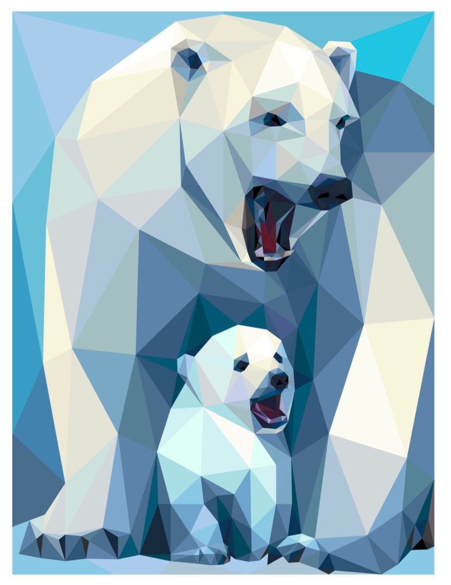 Ursula Major & Minor Quilt Kit – The Sewing House, Inc